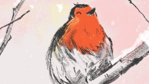 Robin Goch - Film Hub Wales | Canolfan Ffilm Cymru